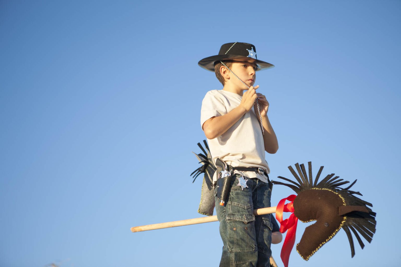 Hobby Horsing for Beginners: Step by Step to Professional – Hobby Horse ...