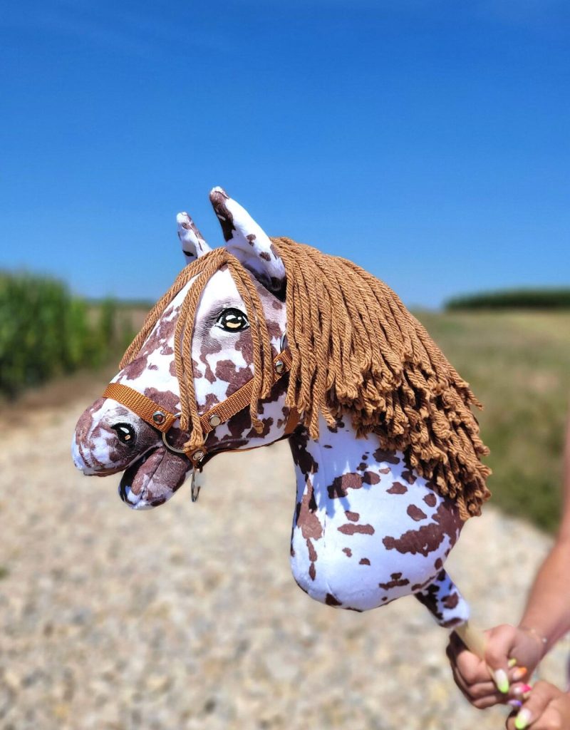 Günstige Hobby Horses für Einsteiger und Kinder – Tipps für ...