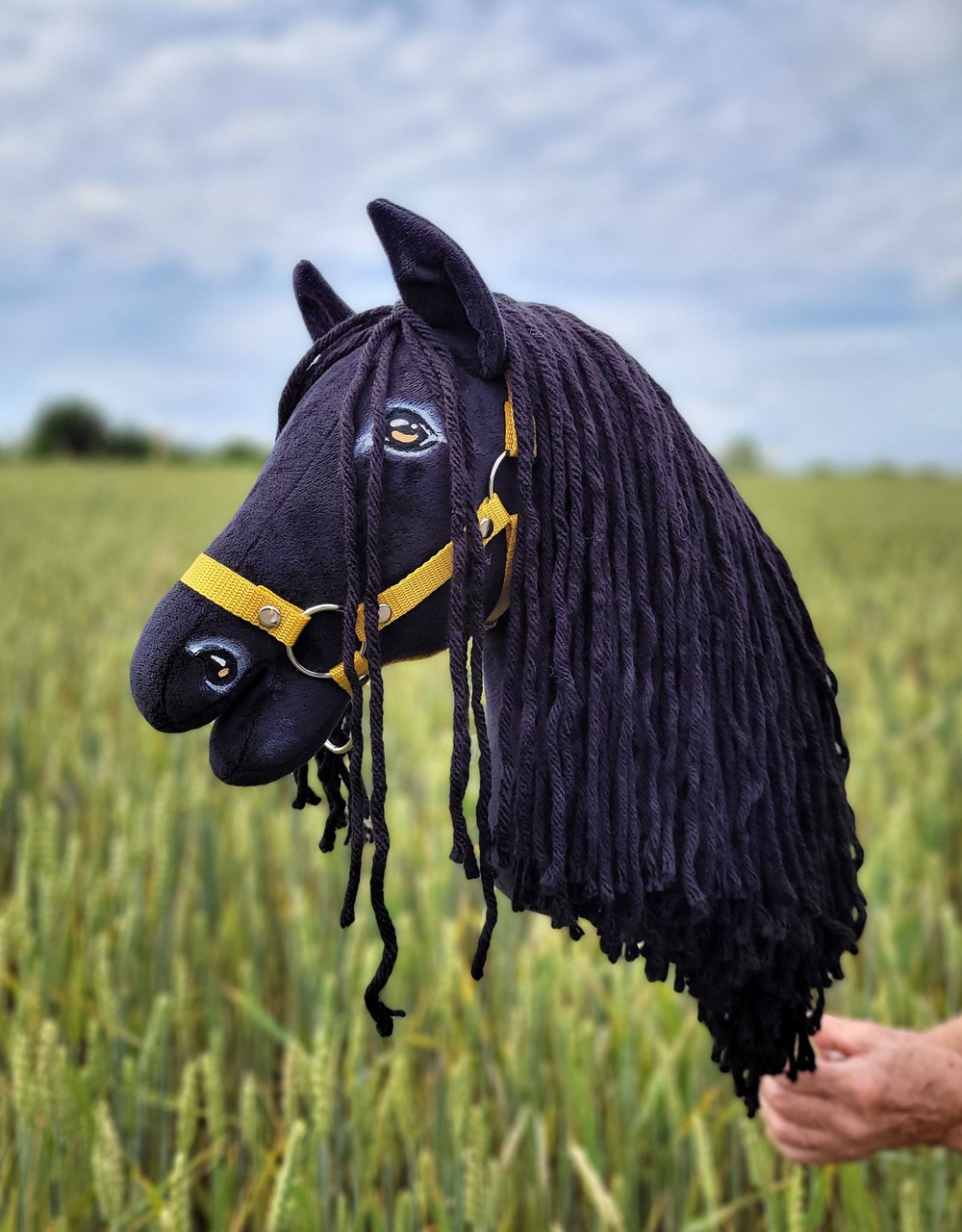 Fortschritt beim Hobby Horsing messen – aber wie eigentlich?